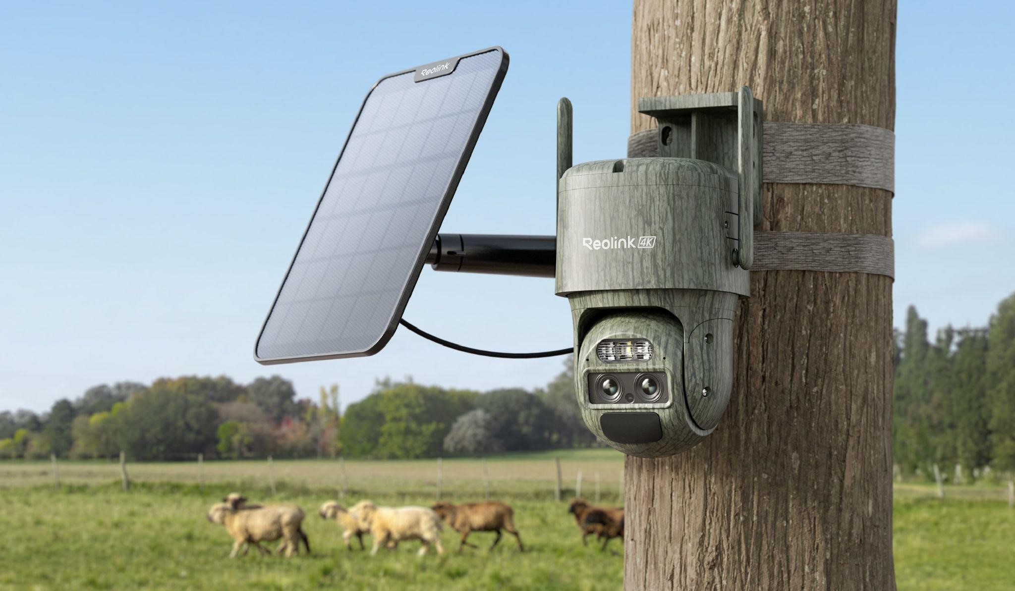 2K vs 4K Security Cameras: Key Differences, Pros & Cons